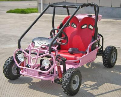China China Go cart110CC01 for sale