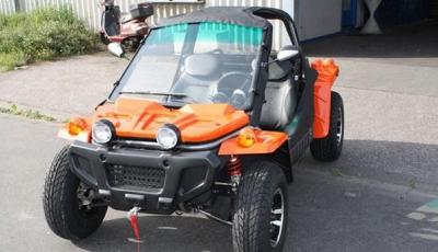 China China Go cart300CC01 for sale