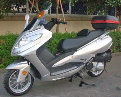 China China Scooter250CC01 for sale