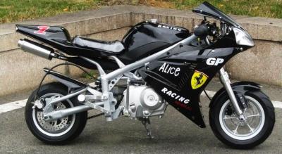 China China Dirt Bike110CC02 for sale