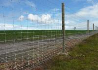 China Field Fence for Cattle & Livestock - 150mm Spacing with 2mm Inner Diameter - Multiple Specifications Available for sale