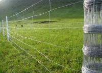 China Field Fence for Cattle & Livestock - 150mm Spacing with 2mm Inner Diameter - Multiple Specifications Available for sale
