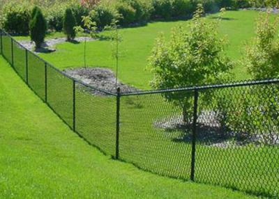 China Chain Link Fence for sale