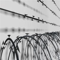China Concertina Razor Wire  Flat Loop Razor for sale