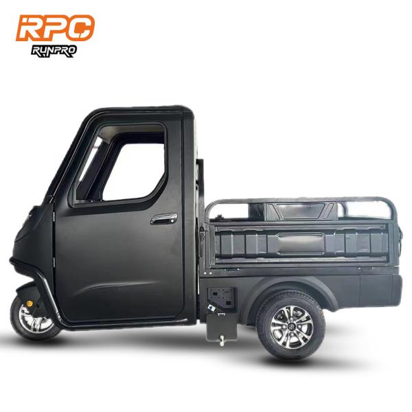 Quality Front disc Rear disc Brake System 3 wheels electric tricycles for adults EEC on for sale