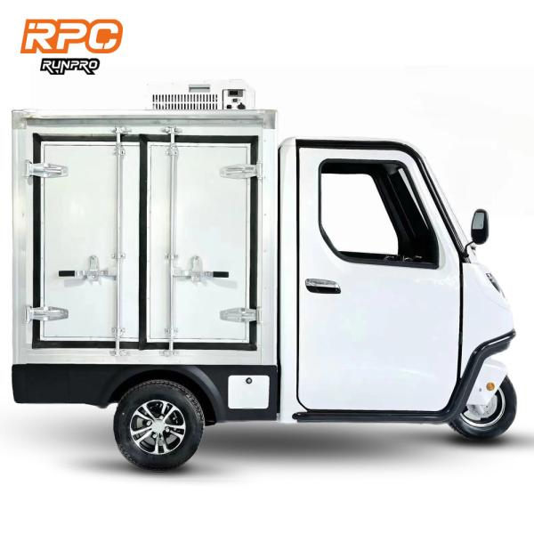 Quality EEC Certified Electric Cargo Tricycle with 3.50-10 Front Tire and 4.00-10 Rear Tire for sale