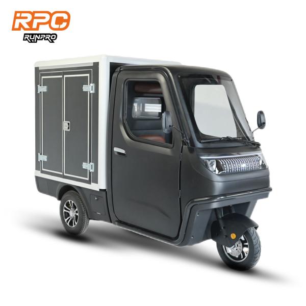 Quality EEC Certified Electric Cargo Tricycle with 3.50-10 Front Tire and 4.00-10 Rear for sale