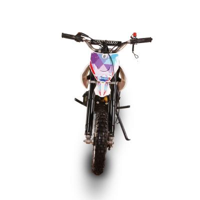 49cc 2ストロークプールスタート ミニダートバイク マックス. 時速40km/hとモーター その他