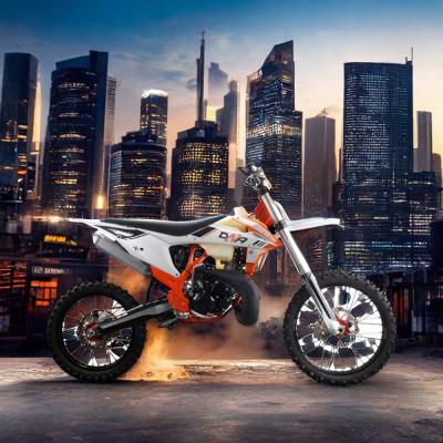 China 2 Stroke Engine Chain Drive Adult Motorcycle 250cc Off-Road Motocross Motorbike for sale