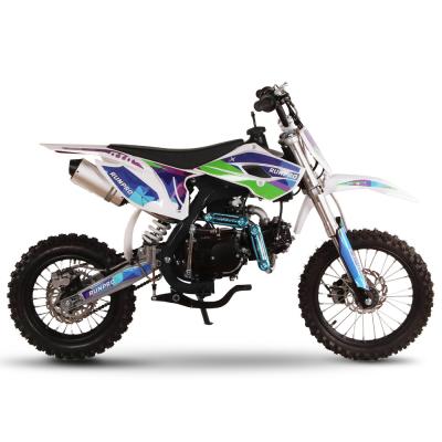 China Manual Transmission 110cc 125cc Gasoline Engine Kids Gas Dirt Bikes for Speed Adventures for sale
