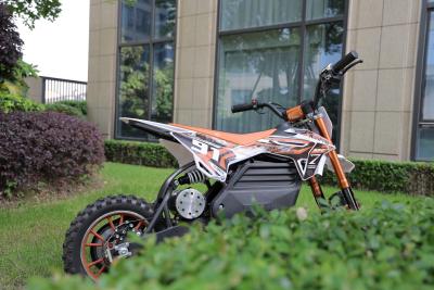 Cina 1000W 36V12AH 48V20AH Electric Pit Bike per bambini Dirt Bike personalizzabile Moto da corsa in vendita