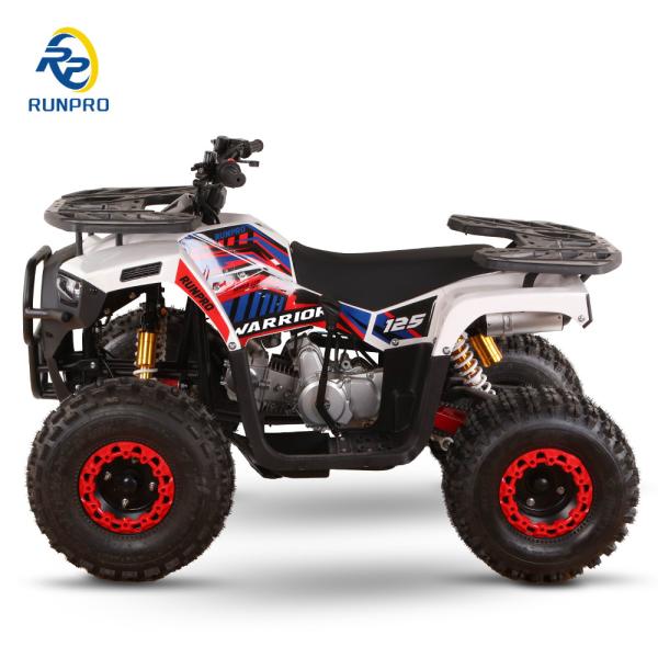 Quality 4-Stroke Engine Type Off Road 120cc 125cc ATV Quad Bikes with 2.5L Tank Capacity for sale
