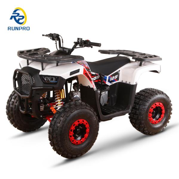 Quality 125CC All Terrain ATV Motorcycle 60km/h Max Speed Gasoline Transmission 4x4 UTV for Adult for sale