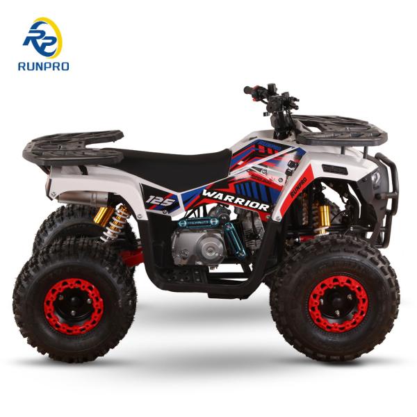 Quality 125CC All Terrain ATV Motorcycle 60km/h Max Speed Gasoline Transmission 4x4 UTV for sale