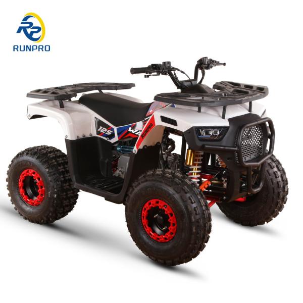 Quality 125cc 4x4 ATV UTV Farm Motorcycle Quad 4-Stroke Automatic Transmission Off-Road Bike for sale