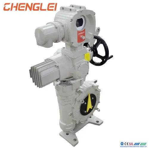 Explosion proof electric valve actuator mounting view