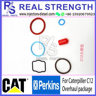 Cina Perkins Diesel Injector Rebuild Kit per la serie di Caterpillar C12 in vendita