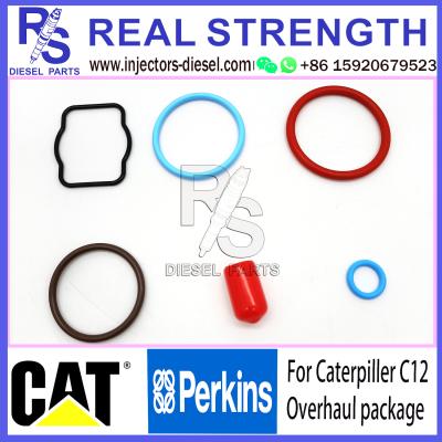 Cina Perkins Diesel Injector Rebuild Kit per la serie di Caterpillar C12 in vendita