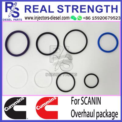 Cina L'iso di Kit Neutral Packing della riparazione dell'iniettore di CUMMINS SCANIA ha approvato in vendita