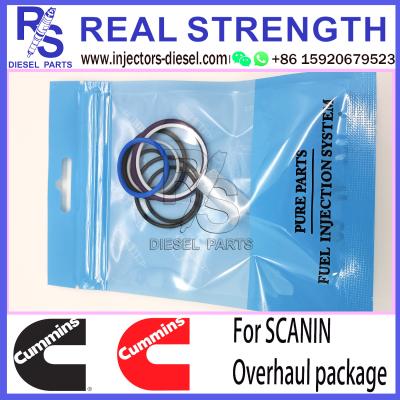 Cina L'iso di Kit Neutral Packing della riparazione dell'iniettore di CUMMINS SCANIA ha approvato in vendita