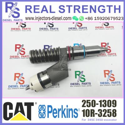 China 250-1309 2501309 Perkins Diesel Injetor 10R-3258 10R3258 C13 CAT Fuel Injetor à venda