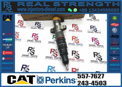 China NEW Diesel Engine Parts C7 C9 Fuel Injector 387-9427 557-7627 For Caterpillar Excavator 324D 324D FM 324D FM LL for sale