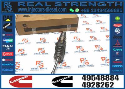 Cina Iniezione di carburante per iniettore Common Rail 49548884 1511696 1481827 1529790 per QSKX15 Escavatore QSX15 ISX15 X15 in vendita