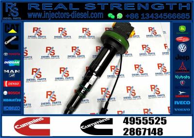 Cina NINE BRAND iniettore diesel di alta qualità 4955525 Qsk19 iniettore iniettore di carburante 4955525 in vendita