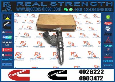 Cina Iniezione di carburante 4026222 4903472 per Cummins ISM11 QSM11 M11 in vendita