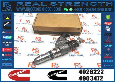 Cina Iniezione di carburante 4026222 4903472 per Cummins ISM11 QSM11 M11 in vendita