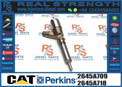 China 2820490 282-0490 2645A709 C6.6 Engine Fuel Injector for CAT Loader 938H for sale