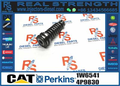 China Excavator Plunger 4P-9830 CAT 3306B 3306 Diesel Fuel Injection Pump Element Plunger 4P9830 1W6541 for sale