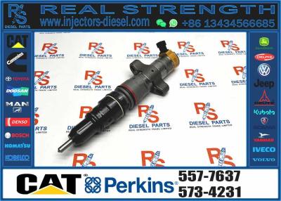 China C9 HEUI Injector 557-7637 Diesel Fuel Injector 557-7633 for Caterpillar Excavator C9 Engine Parts for sale