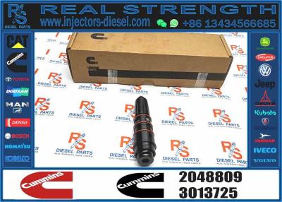 중국 디젤 연료 분사 펌프 2048809 3019487 3059657 (NT855용) 판매용