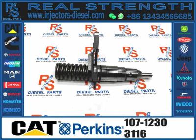 China 127-8216 127-8230 173-4647 107-1230 for C-AT 3116 Diesel Engine Wholesale High-performance Fuel Components Diesel Fuel Injector for sale