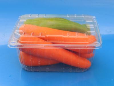 China China Supply plastic fruit packaging container Food grade material PET plastic vegetable packaging box FDA EU approved for sale