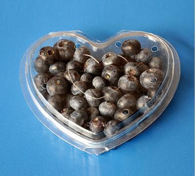 China Fruit packaging container Food grade material PET plastic blueberry packaging box FDA EU approved for sale