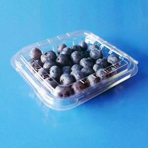 China Disposable plastic fruit packaging punnet 125 Grams Blueberry packaging container PET food grade material packaging box for sale