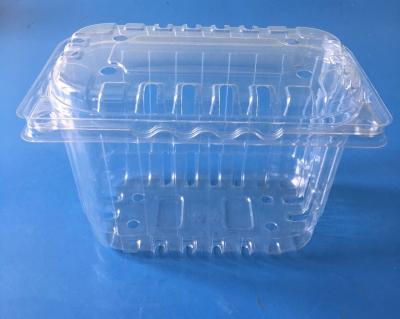 China Disposable plastic strawberry grape packaging box PET food grade fruit packaging box Made in China FDA EU approved for sale