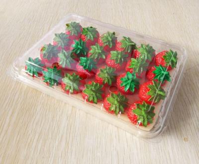 China Disposable plastic strawberry packaging box PET food grade fruit blueberry strawberry 500g packaging box FDA EU Approved for sale