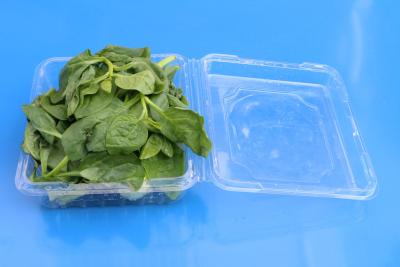 China PET Disposable plastic fruit packaging box vegetable packaging box 1000 grams packaging box manufactory OEM accepted for sale