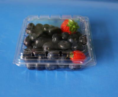 China Manufactury Disposable plastic fruit tray 150 grams punnet fruit packaging box blueberry packaging box for sale