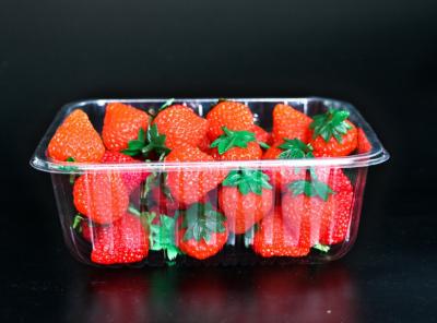 China Disposable plastic fruit vegetable food packaging tray 500 grams strawberry packaging tray PET plastic box for fruit for sale