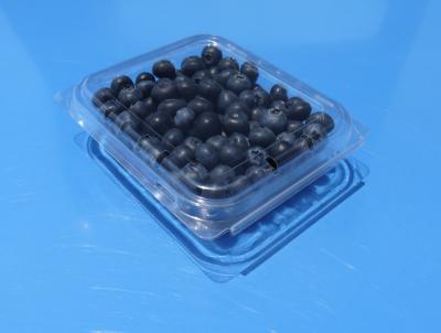 China Disposable plastic fruit  packaging box with holes blueberry 125 grams packaging container PET plastic blueberry punnets for sale