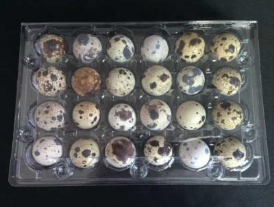 China Disposable plastic quail egg tray 24 holes quail egg tray plastic egg tray for quail eggs 24 slots for sale