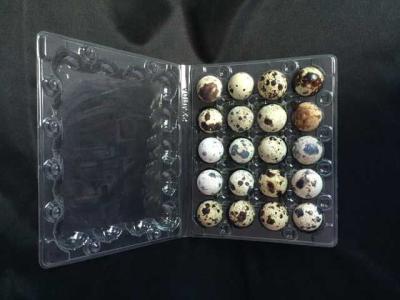 China Disposable plastic quail egg tray 20 holes quail egg tray plastic egg tray for quail eggs 20 slots for sale
