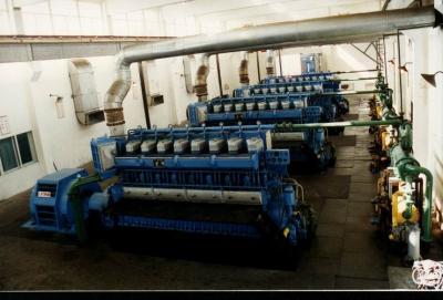 China 2000kw / 2500kw / 3000kw  Fuel oil and Gas Engine Generator Set for sale