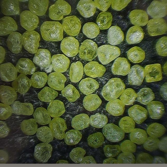 China Zhe Cheng Artificial Single Crystal Diamond Powder