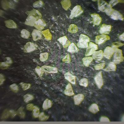 Cina Polvere sintetica per la macinazione dei diamanti per la lucidatura dei gioielli Xinrui polvere di diamanti in vendita