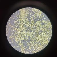 China Artificial Diamond Classification Synthetic Diamond Powder for Diamond Segment Making for sale